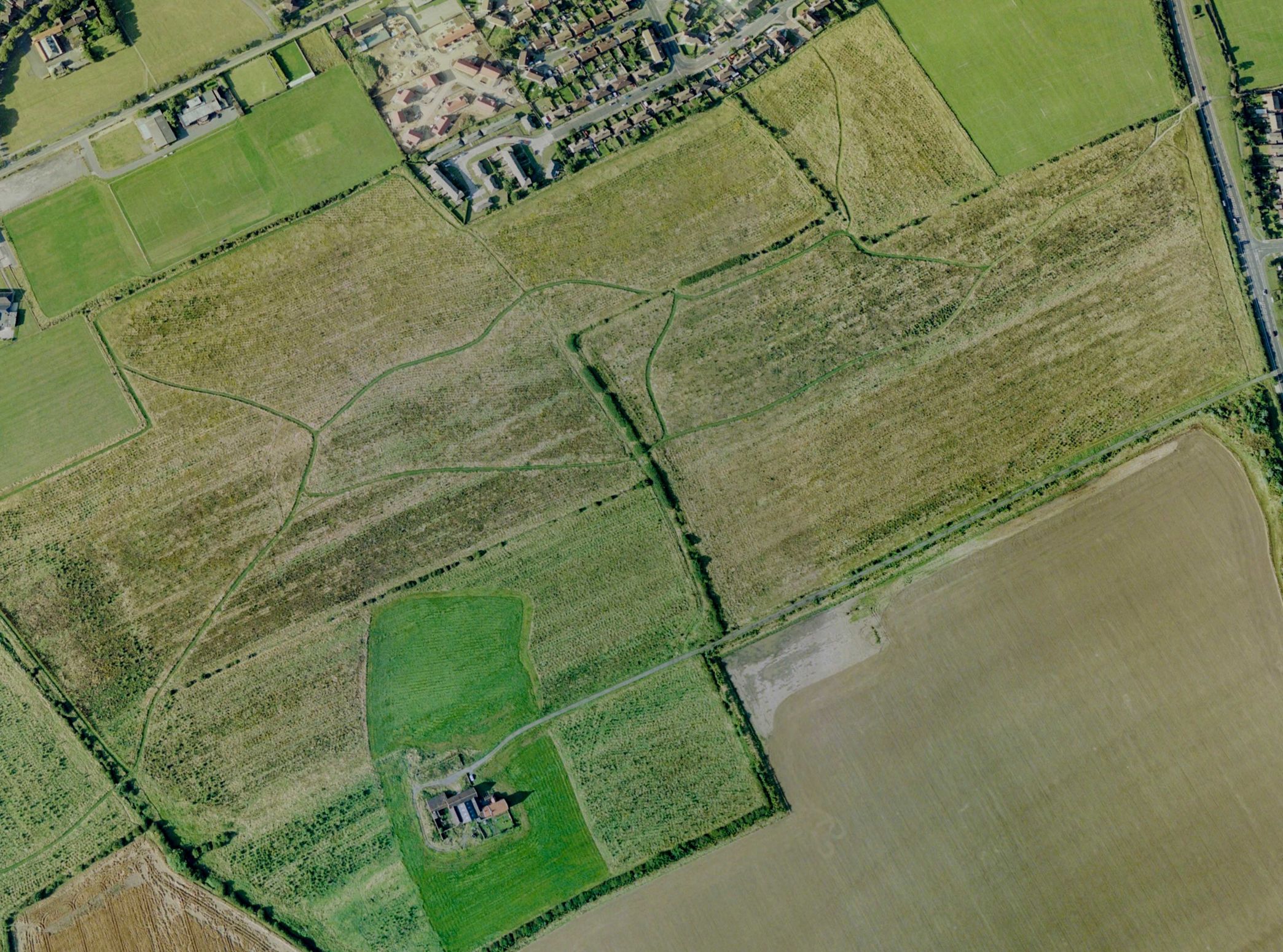 How do you create a forest from scratch?