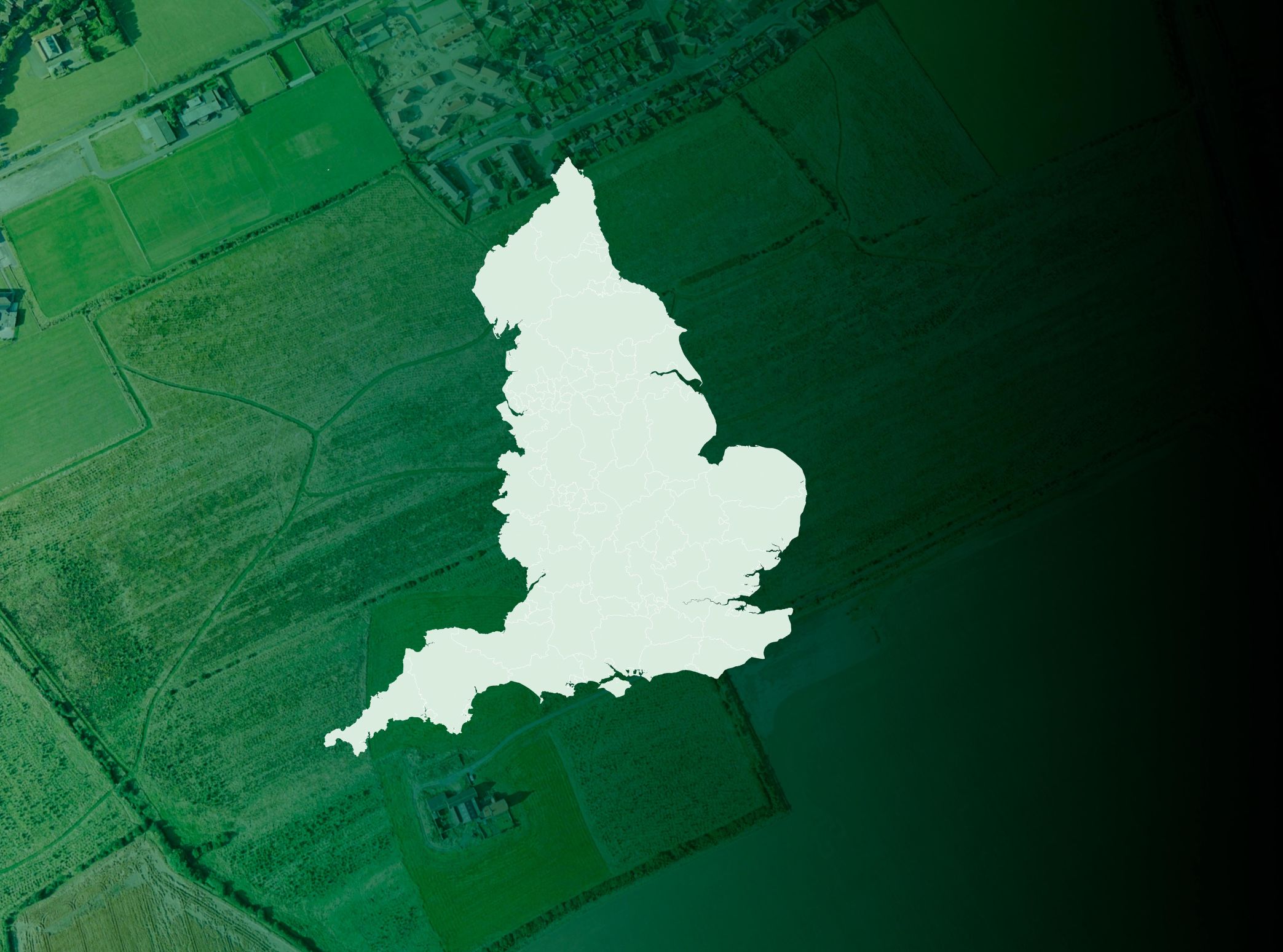 How do you create a forest from scratch?