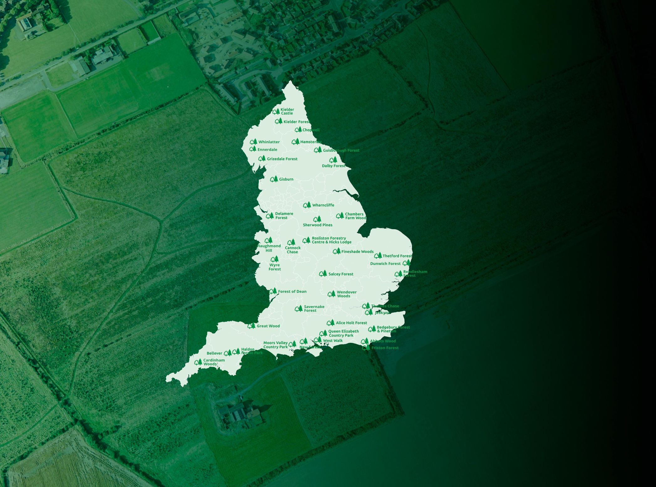 How do you create a forest from scratch?